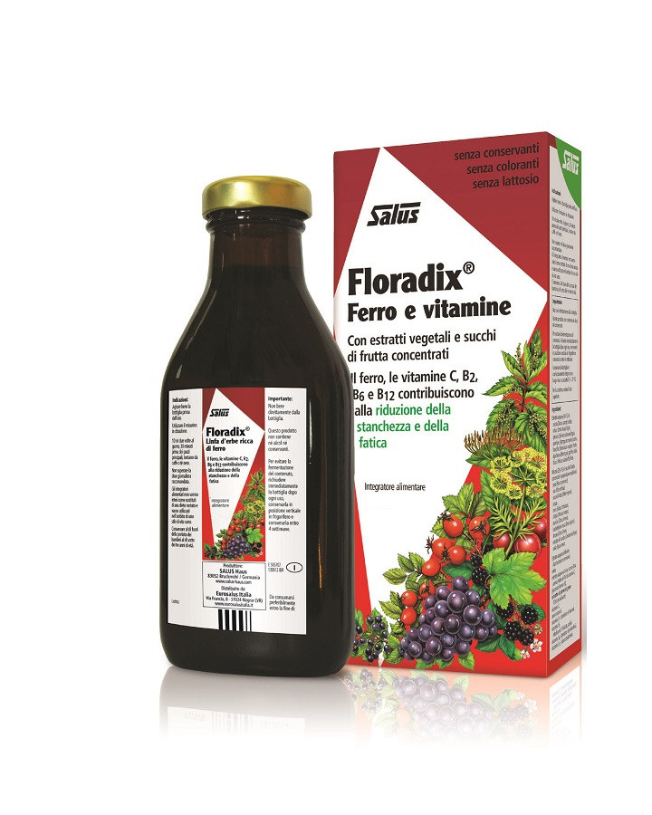 Floradix 250ml